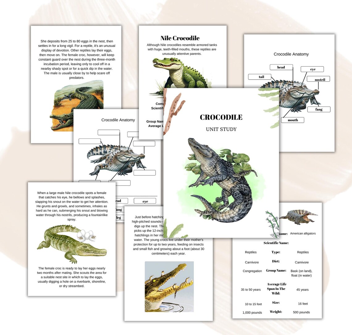 CROCODILE Unit Study, Life Cycle, Anatomy, Nature Study, Science ...