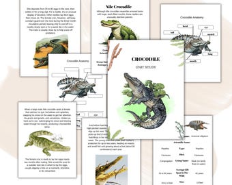 ANT, Unit Study, Life Cycle, Anatomy, Nature Study, Science, Homeschool ...