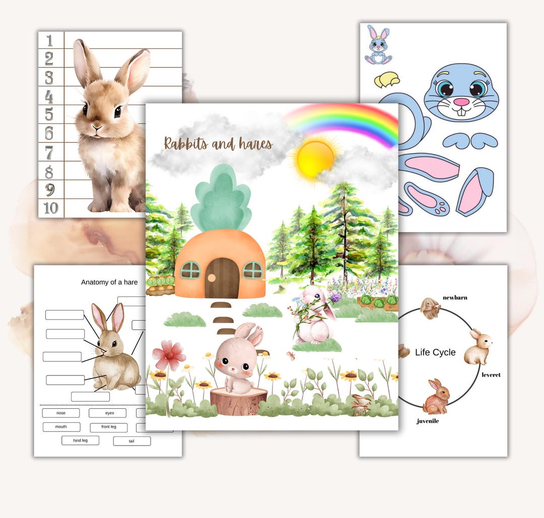 RABBIT and HARE Unit Study, Life Cycle, Anatomy, Nature Study, Science ...