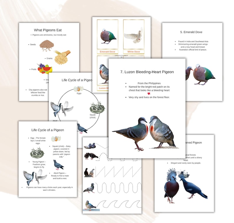 Pigeon Unit Study , Life Cycle, Anatomy, Science, Homeschool Printable ...
