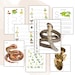 SNAKE Unit Study, Nature Study, Science, Homeschool, Montessori, Life ...