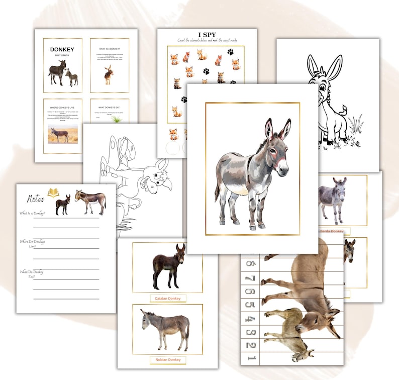 Donkey Unit Study: Anatomy, Life Cycle & Breeds (homeschool Printable ...