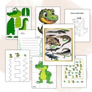 CROCODILE Unit Study, Life Cycle, Anatomy, Nature Study, Science ...