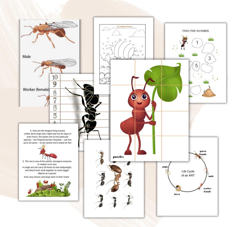 ANT, Unit Study, Life Cycle, Anatomy, Nature Study, Science, Homeschool ...