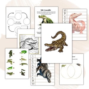 CROCODILE Unit Study, Life Cycle, Anatomy, Nature Study, Science ...