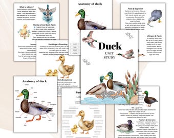 Duck Life Cycle Wheel, Learning Resource, Printable, Nature Science ...