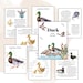Duck Unit Study: Life Cycle, Anatomy, Homeschool Printable (instant ...