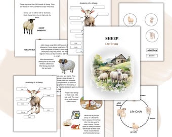 Horse Life Cycle Nature Study - Etsy