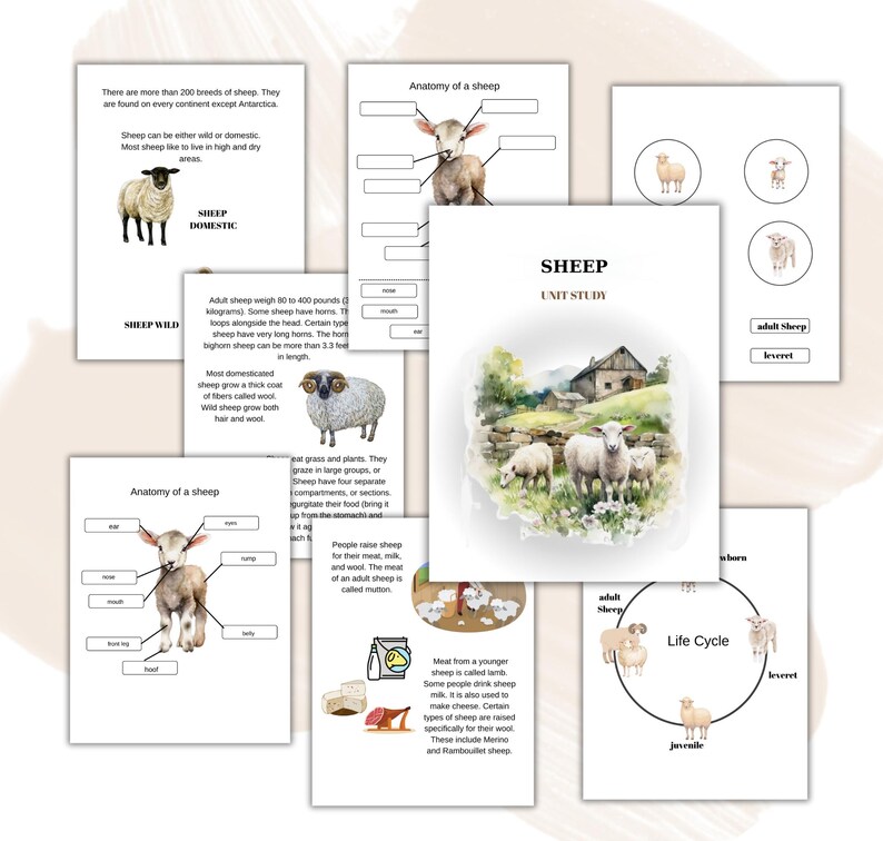 Sheep Unit Study, Life Cycle, Anatomy, Nature Study, Science ...