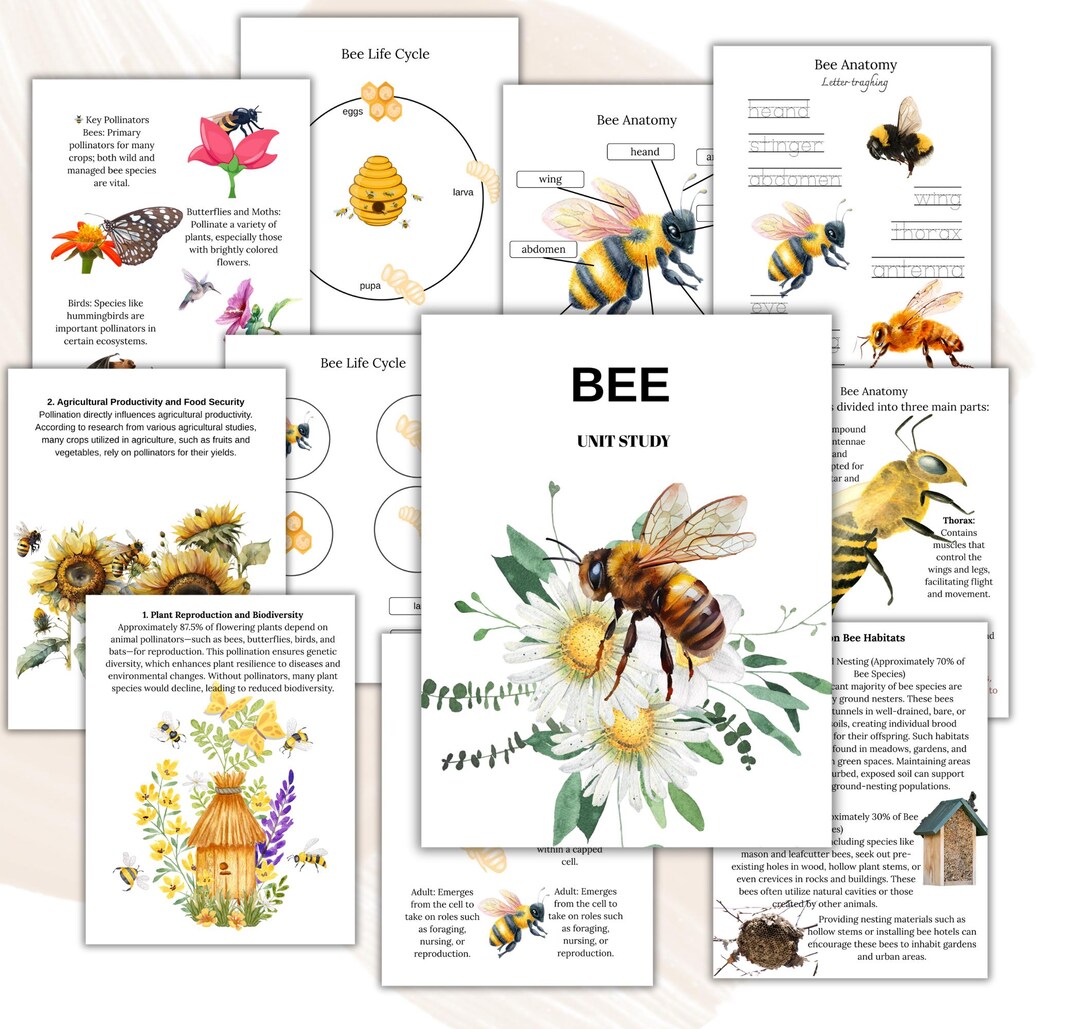 Bees and Beekeeping Study Unit, Life Cycle, Anatomy, Nature Study ...