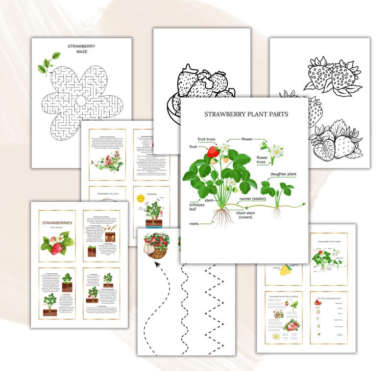 STRAWBERRIES Unit Study, Life Cycle, Science, Handwriting, Homeschool ...
