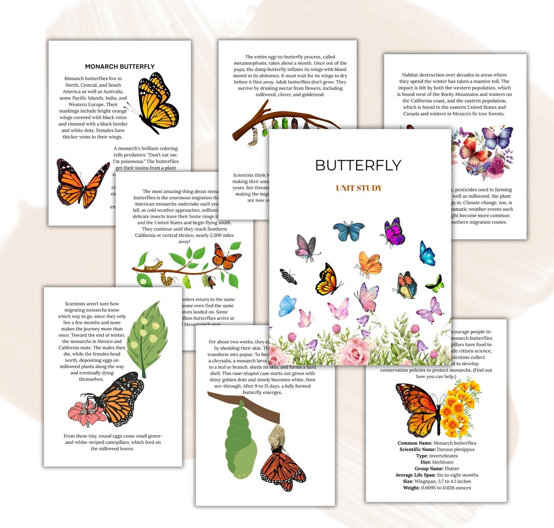 Butterflies Unit Study, Life Cycle, Anatomy, Nature Study, Science ...