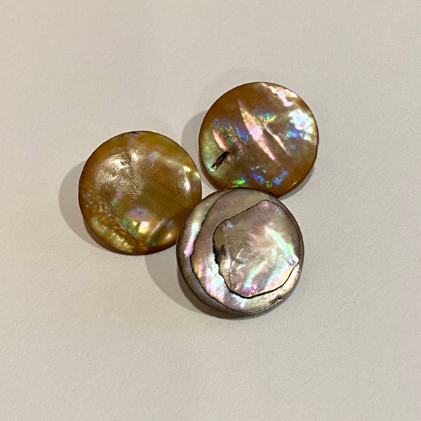 Abalone Buttons - Etsy