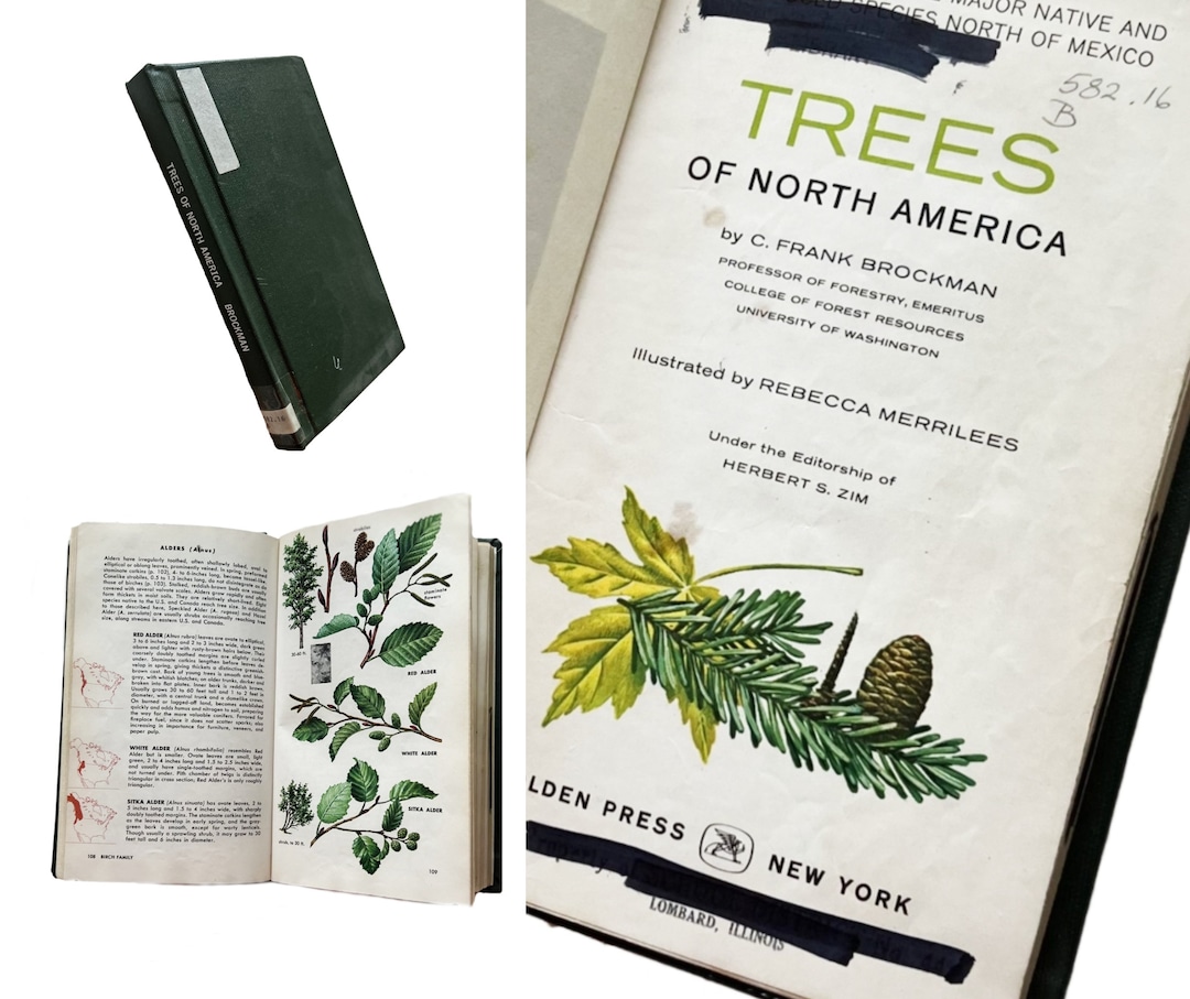 Trees of North America, Golden Book, Field Identification, Hardback ...