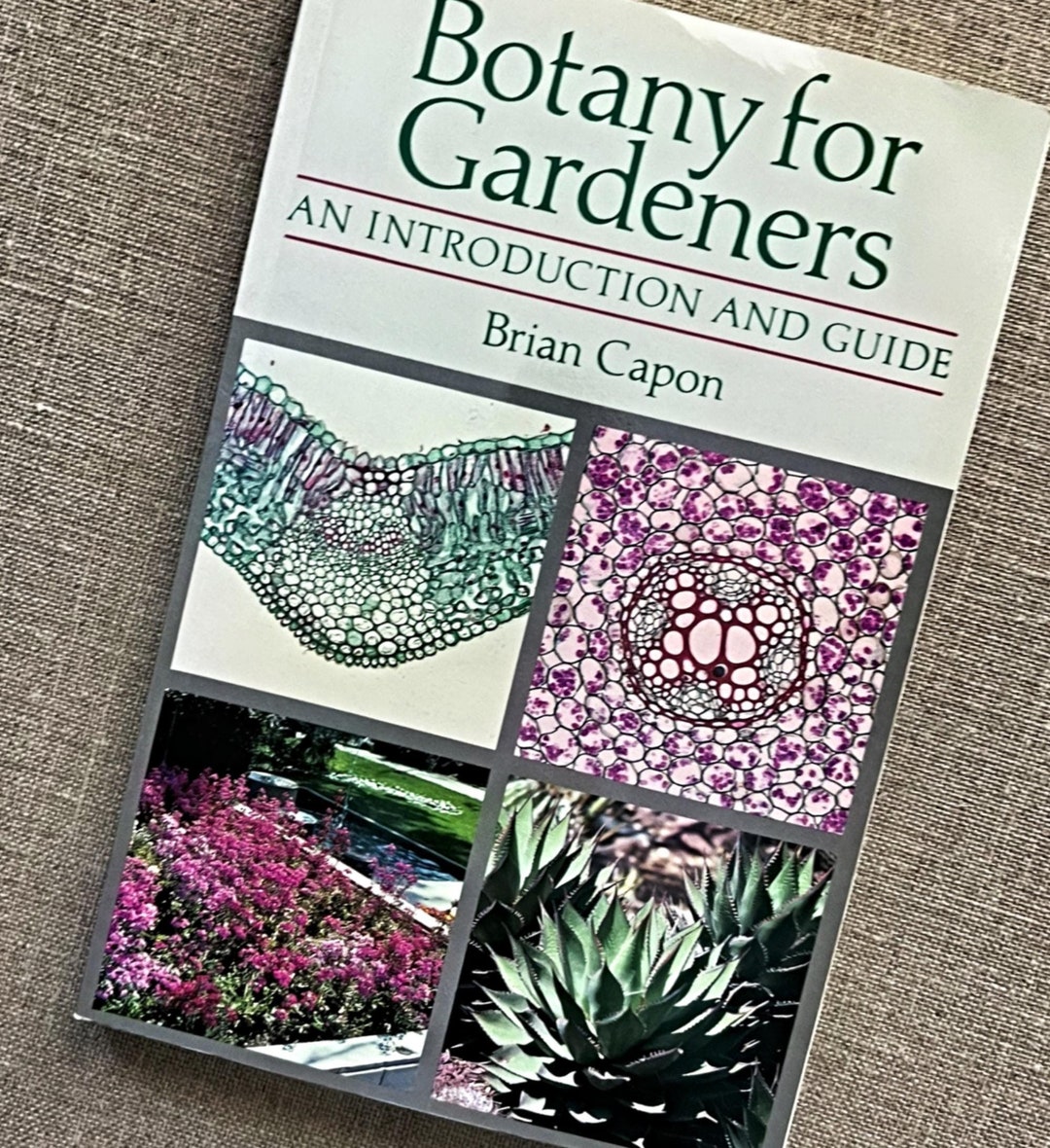 Botany for Gardeners by Brian Capon, 1990 Botany Reference Book, Botany ...