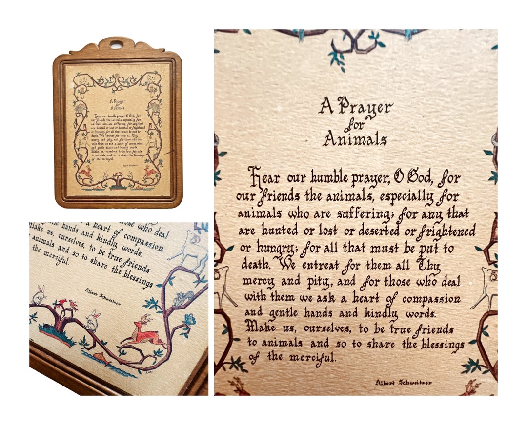Prayer for Animals Wooden Plaque, Animal Prayer by Albert Schweitzer ...