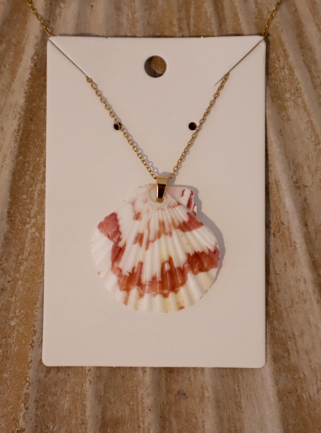 Seashell Calico Scallop Necklace, Gold Chain - Etsy
