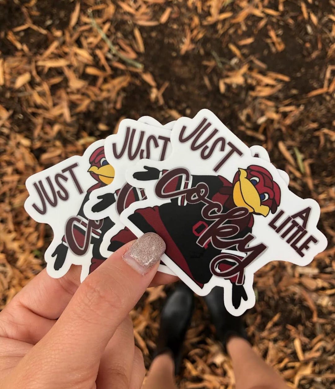 USC Just a Little Cocky Sticker - Etsy