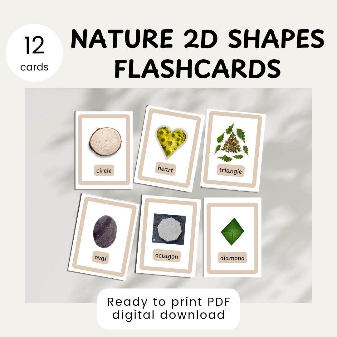 Nature Shape Flashcards Montessori Reggio 2D Shapes Printable Early ...