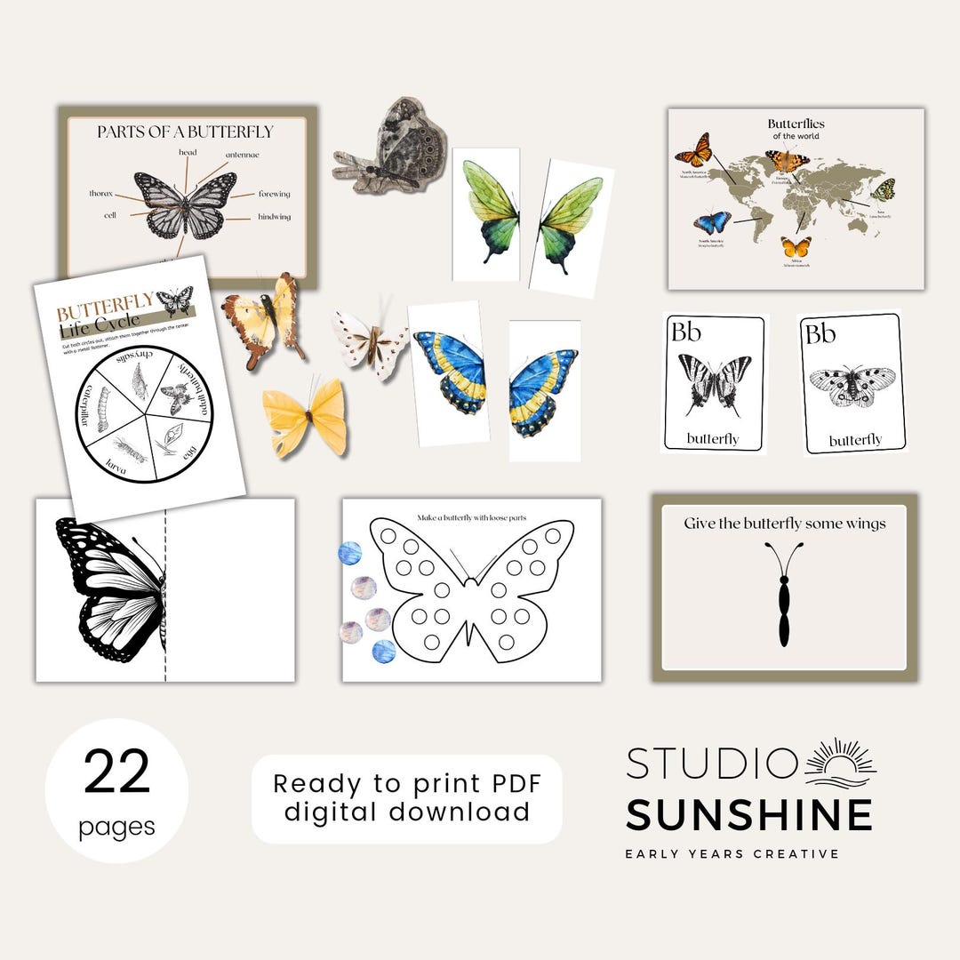 Butterfly Life Cycle Playdough Mats: Preschool Learning Activities (PDF ...
