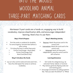 Into the Woods: Woodland Animal Montessori 3-part Matching Flashcards ...