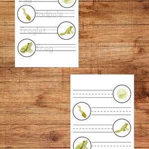 Pond Life Unit Study | Preschool Kindergarten Spring Summer Homeschool ...