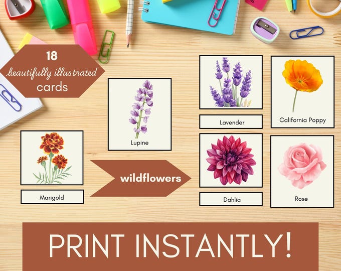 Montessori Wooden Wildflowers Memory Game/ Matching Cards/ Homeschool ...