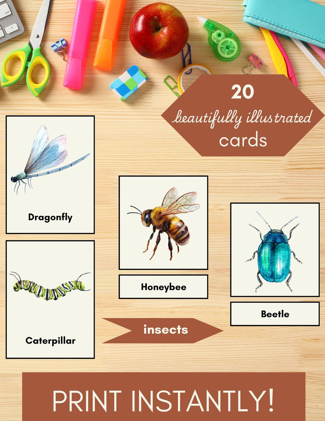 Bug Explorers Montessori Insect 3-part Matching Flashcards | Toddler ...