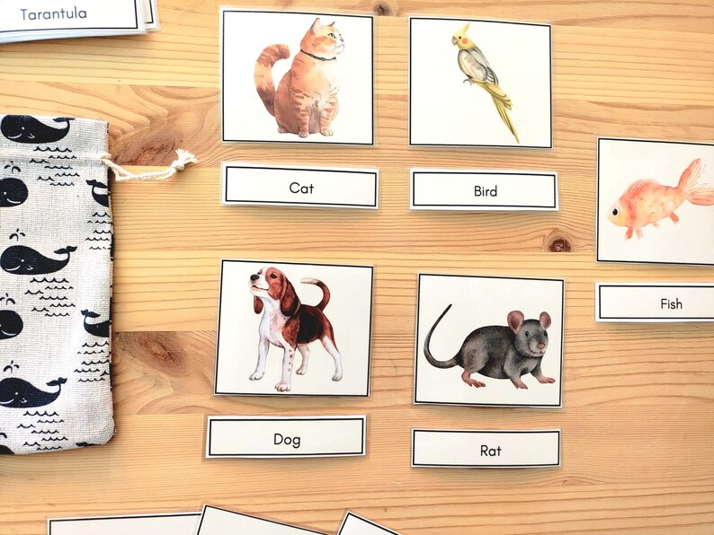 Montessori Pets 3-part Cards: Watercolor Animal Flashcards - Etsy