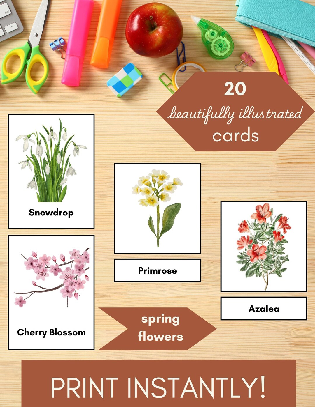 Blossoms & Buds Spring Flowers 3-part Matching Flashcards | Montessori ...