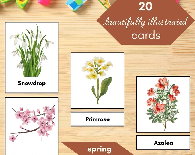 Blossoms & Buds Spring Flowers 3-part Matching Flashcards | Montessori ...