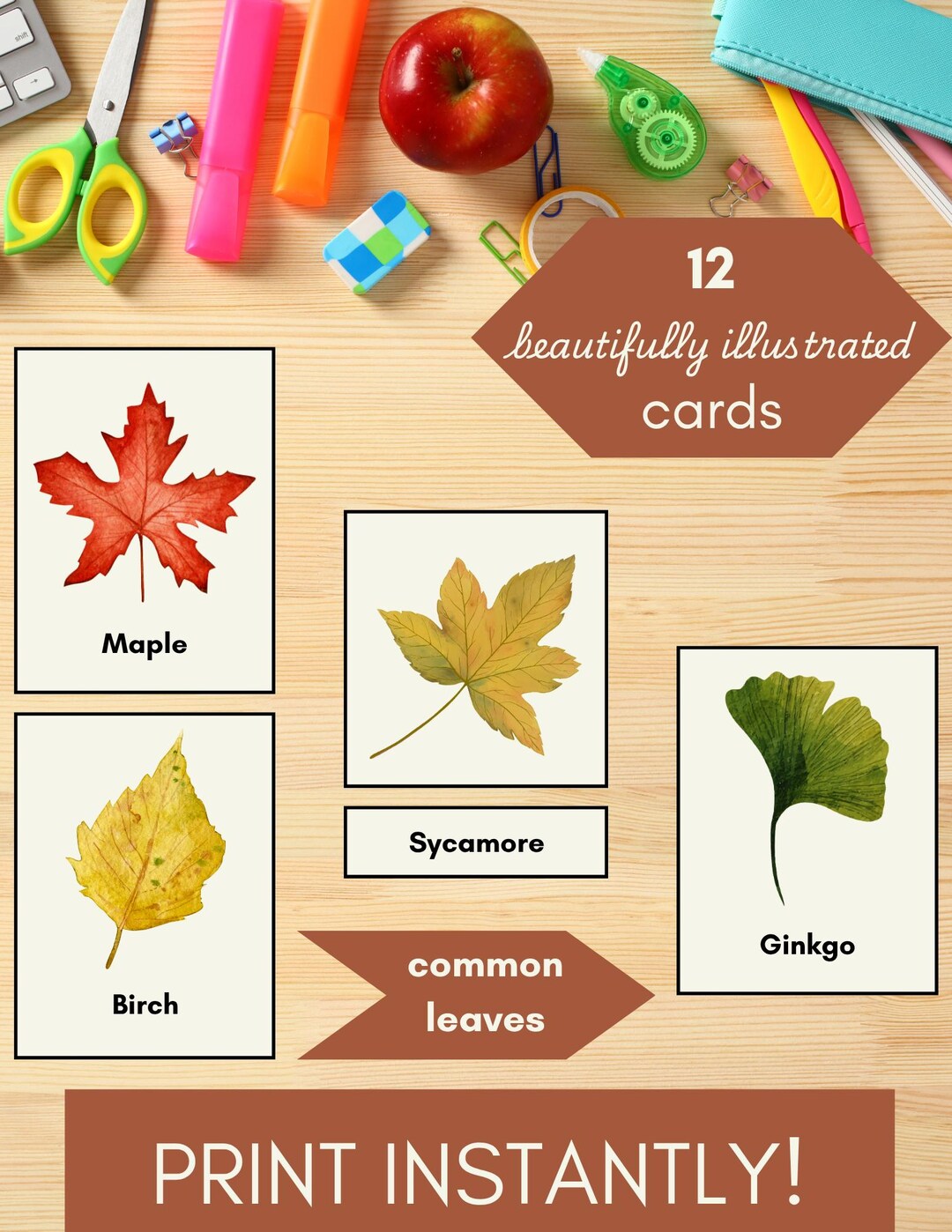 Watercolor Leaf Identification Flashcards: Montessori Nature Study (PDF ...