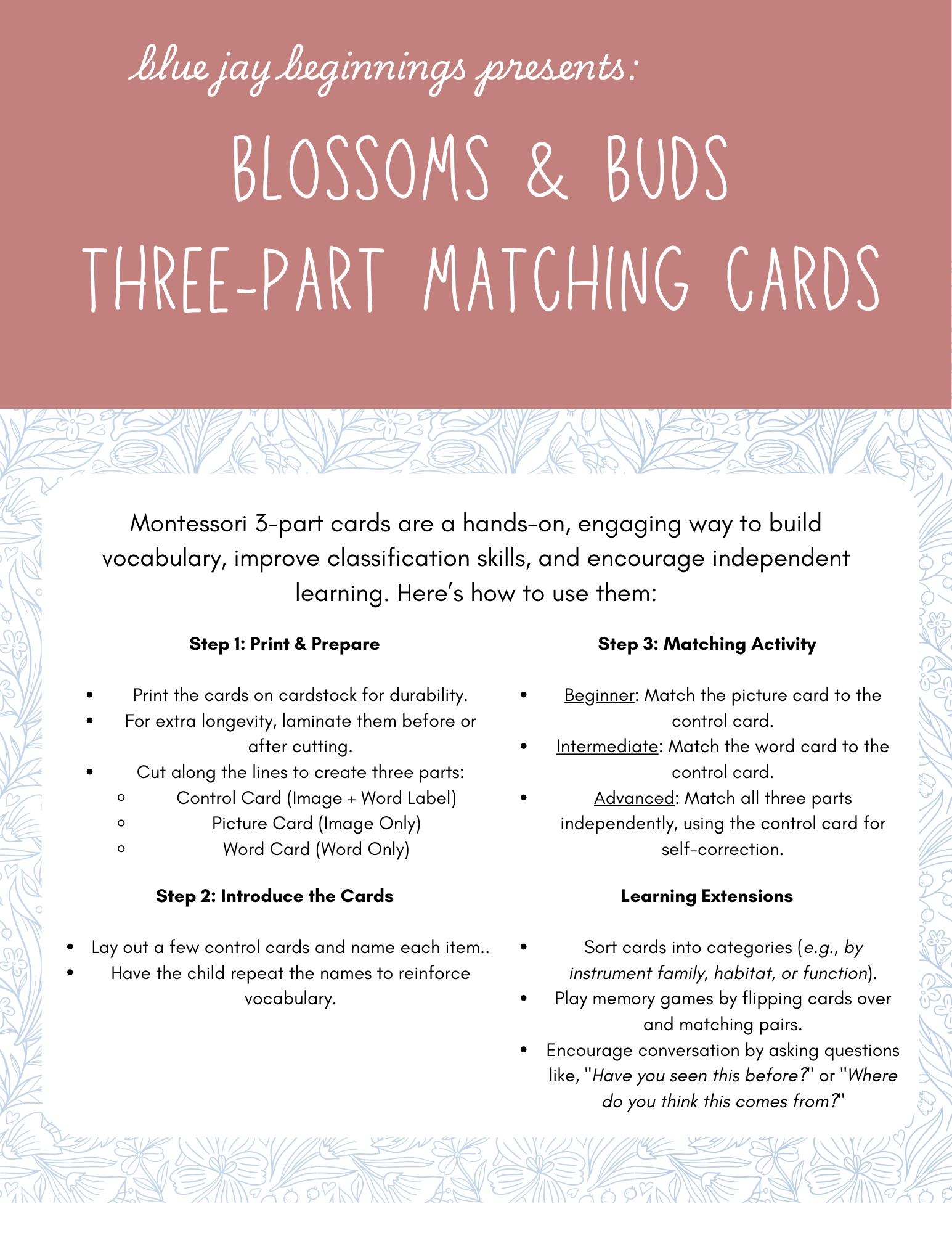 Blossoms & Buds Spring Flowers 3-part Matching Flashcards | Montessori ...