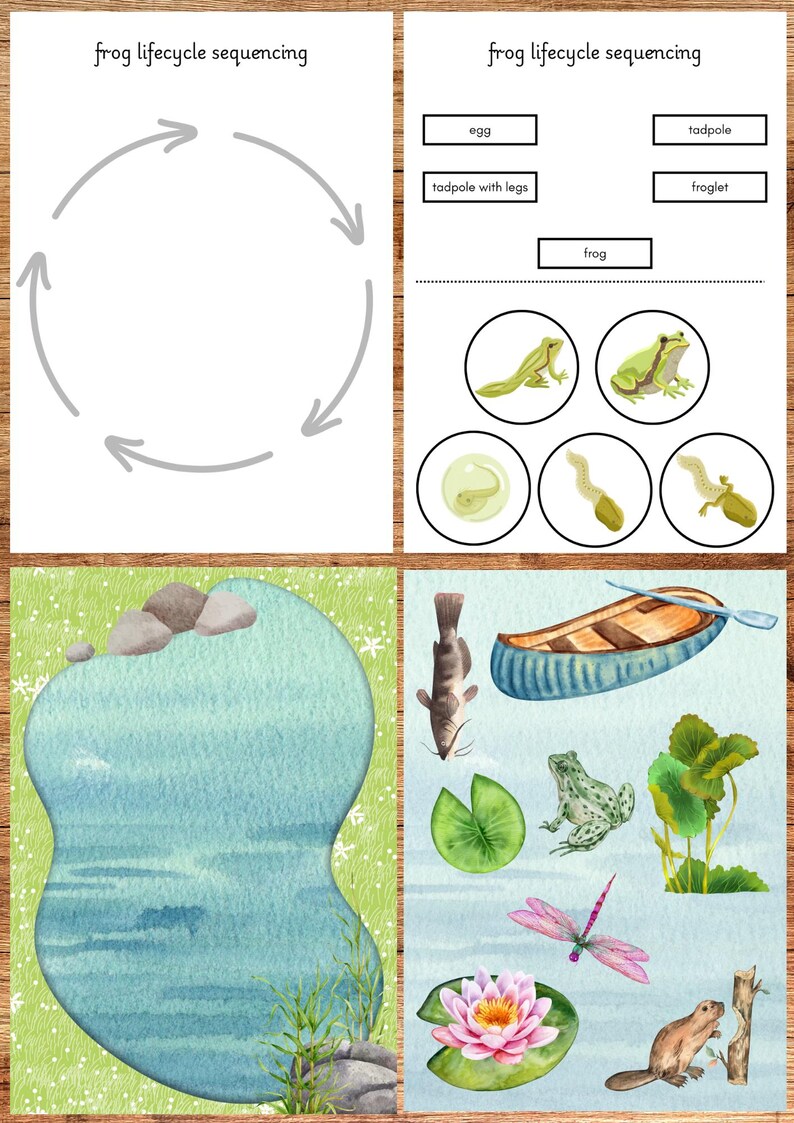 Pond Life Unit Study | Preschool Kindergarten Spring Summer Homeschool ...