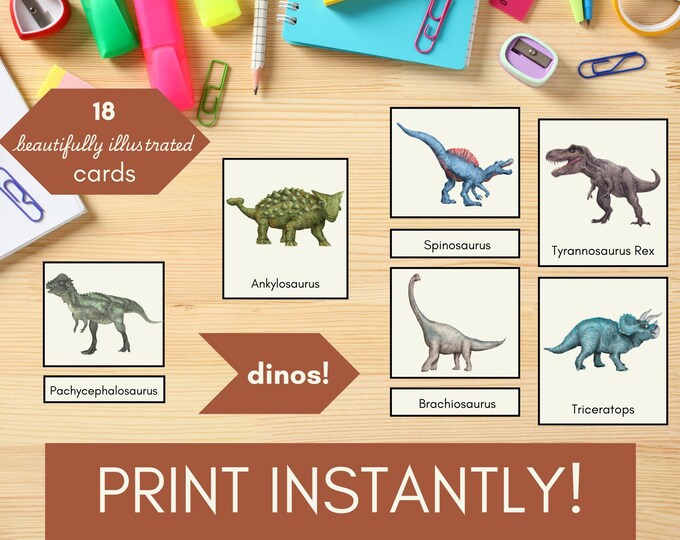 Montessori Dinosaur 3 Part Cards - Etsy Ireland
