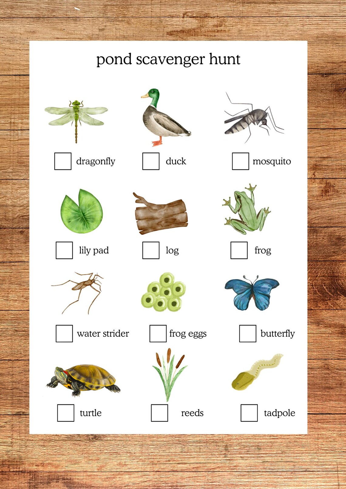 Pond Life Unit Study | Preschool Kindergarten Spring Summer Homeschool ...