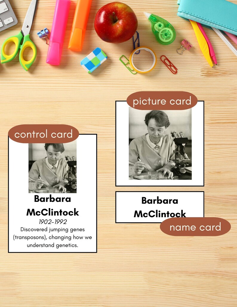 Women in Science Flashcards: Montessori STEM Learning (printable PDF ...