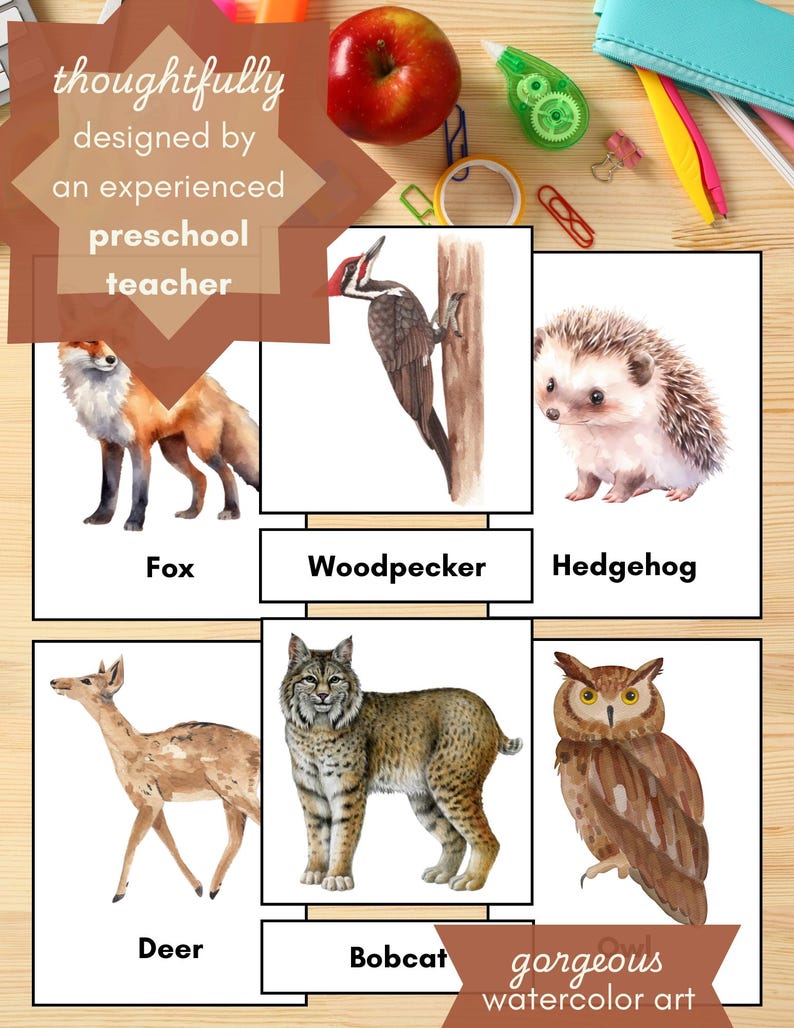 Into the Woods: Woodland Animal Montessori 3-part Matching Flashcards ...