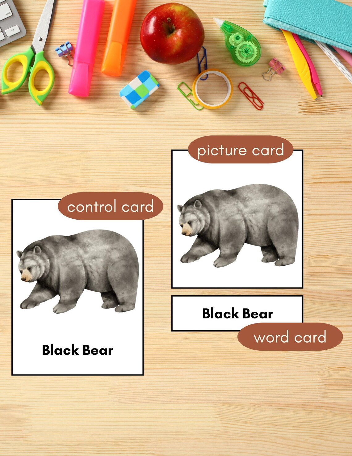 Into the Woods: Woodland Animal Montessori 3-part Matching Flashcards ...