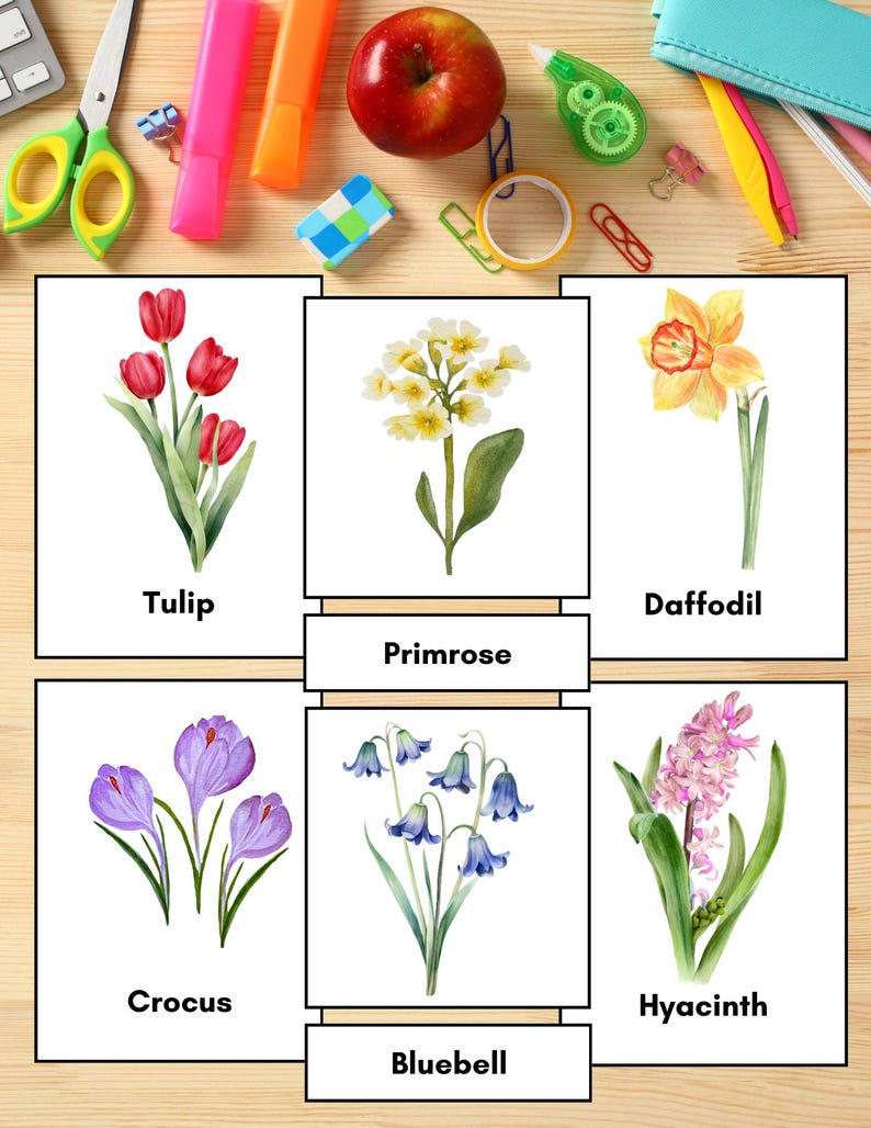 Blossoms & Buds Spring Flowers 3-part Matching Flashcards | Montessori ...