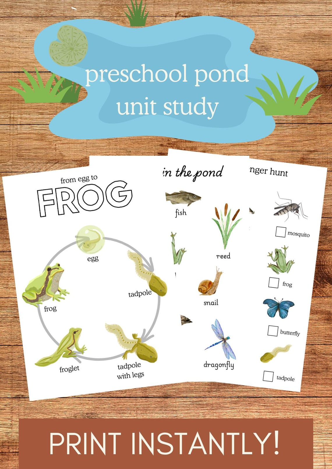 Pond Life Unit Study | Preschool Kindergarten Spring Summer Homeschool ...