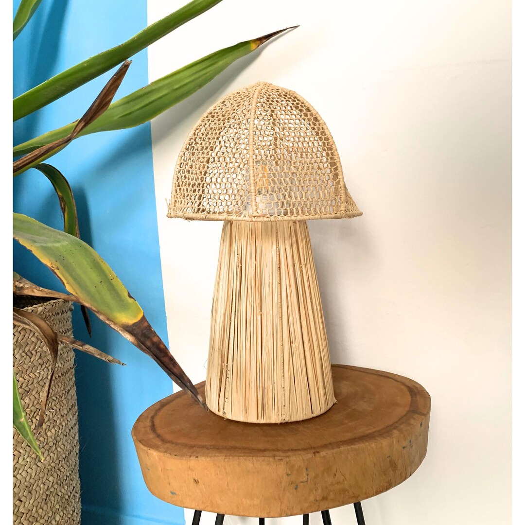 Raffia Pendant Light, Lamp Shade Hanging Raffia Lamp - Etsy