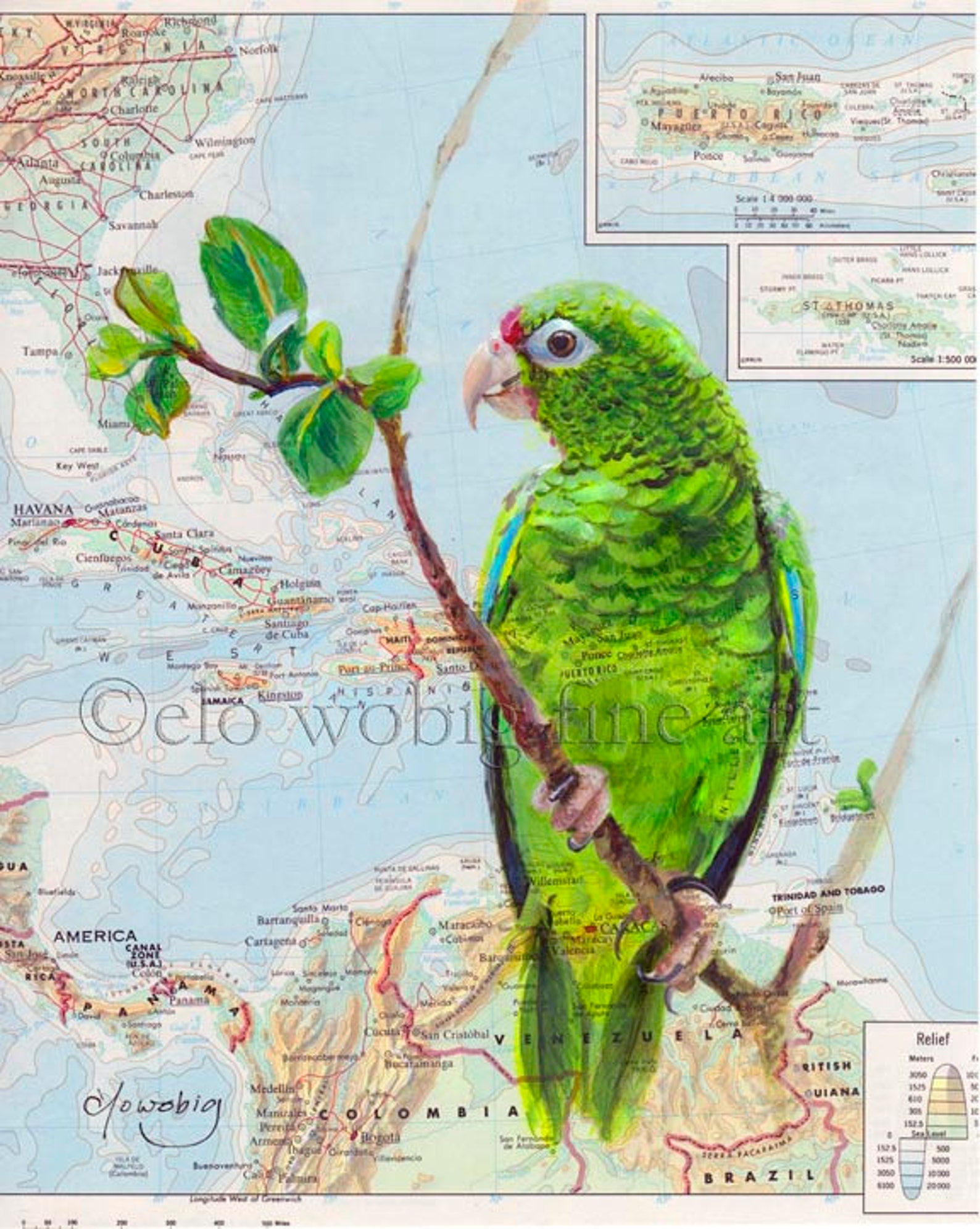 Fine Art Print Puerto Rican Parrot Birds on Map Atlas Mixed Media ...