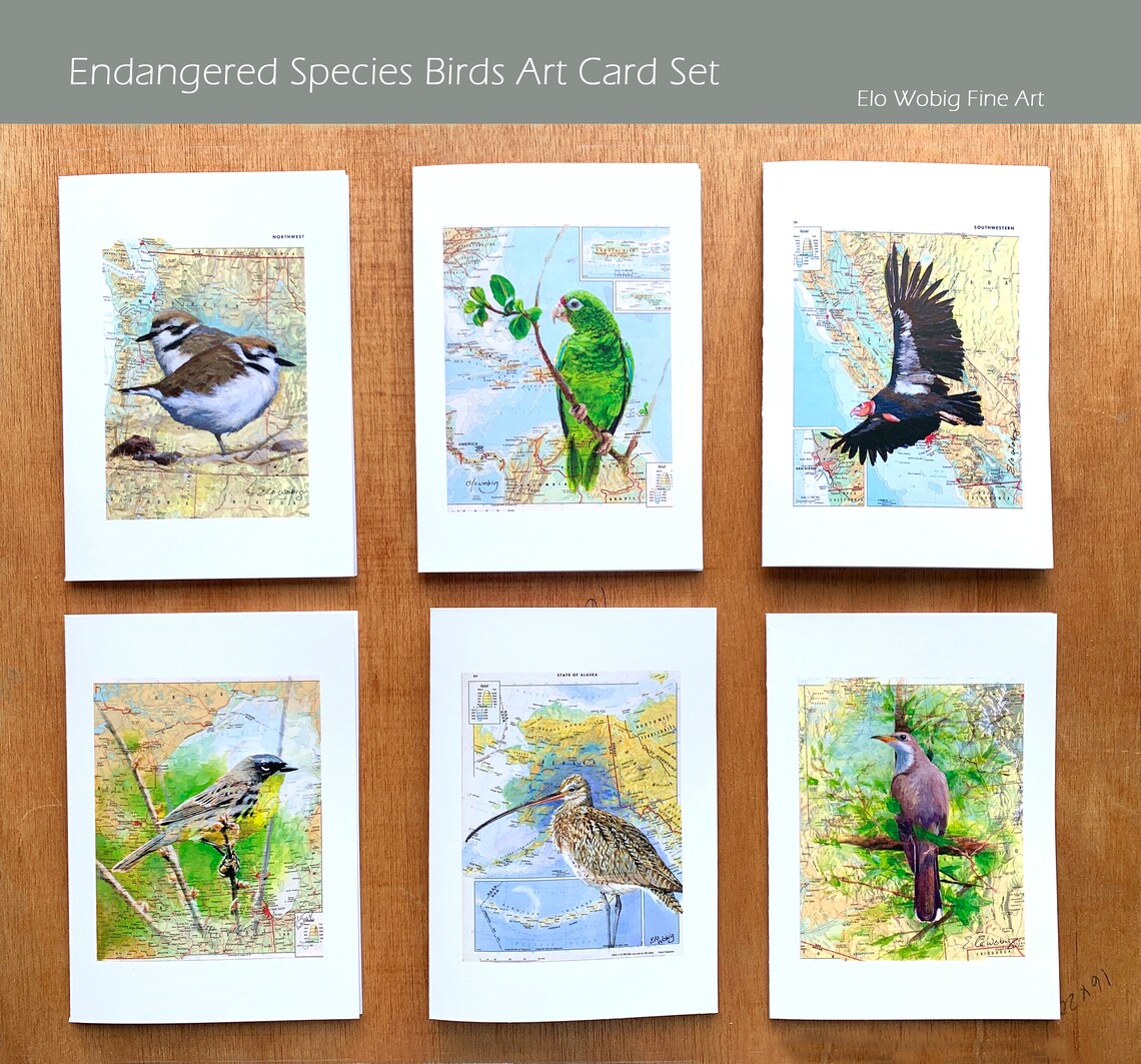 Art Card Set of 6 Endangered Species Birds on Map Note Cards | Etsy