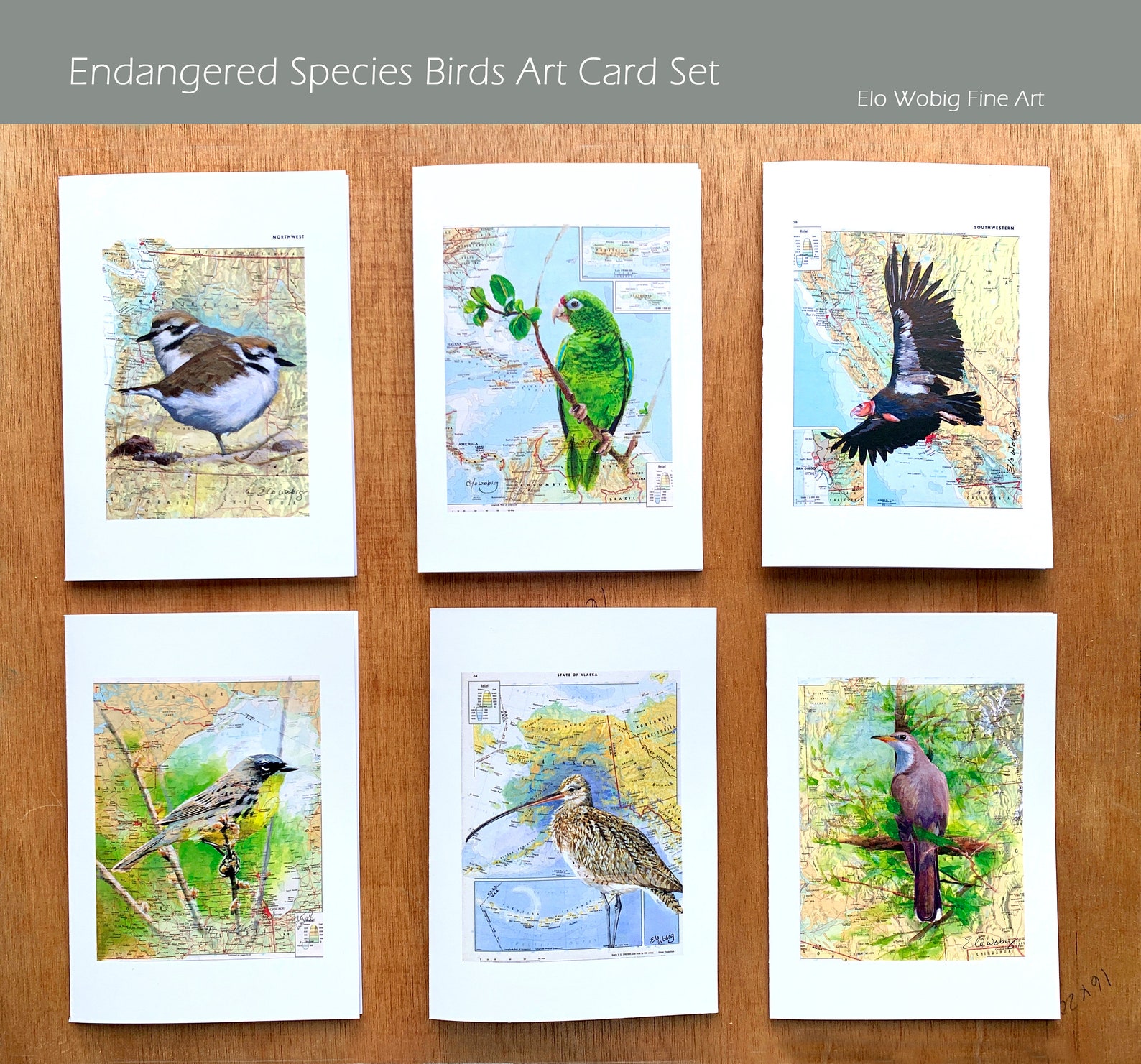 Art Card Set of 6 Endangered Species Birds on Map Note Cards Blank ...