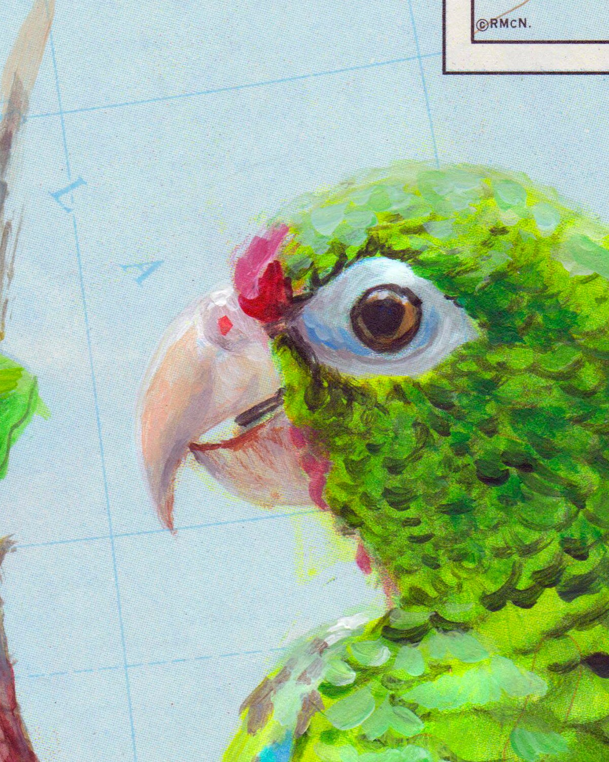 Fine Art Print Puerto Rican Parrot Birds on Map Atlas Mixed Media ...