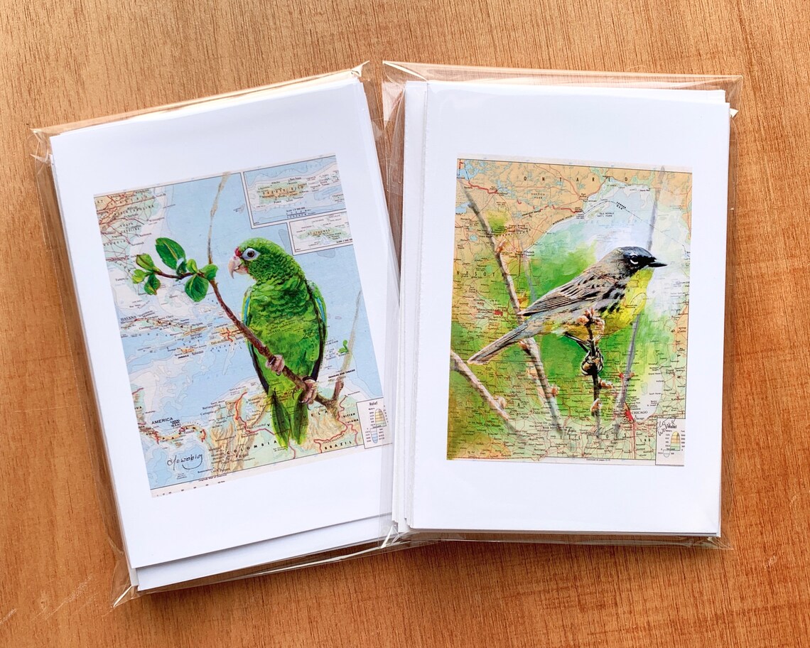 Art Card Set of 6 Endangered Species Birds on Map Note Cards | Etsy