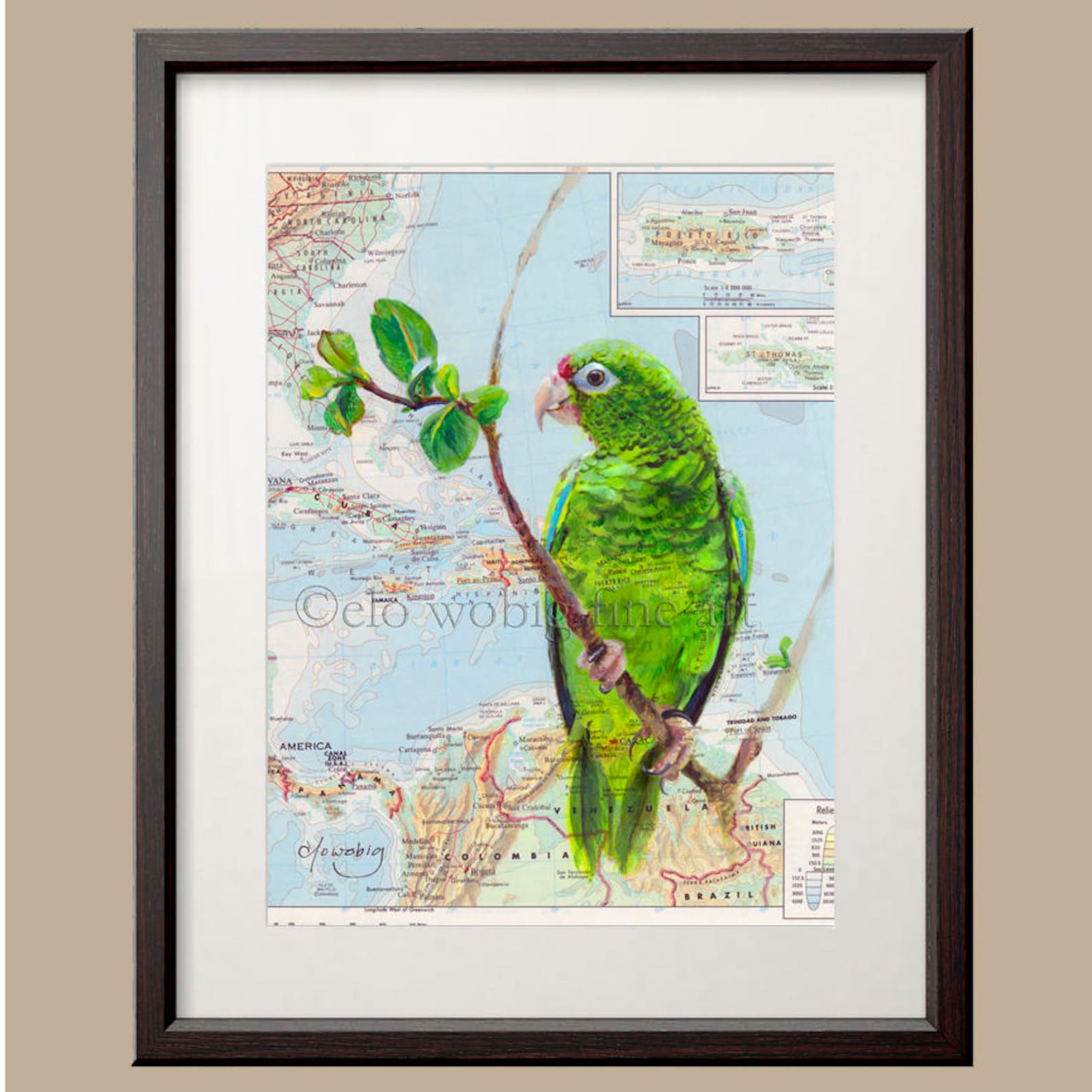 Fine Art Print Puerto Rican Parrot Birds on Map Atlas Mixed Media ...