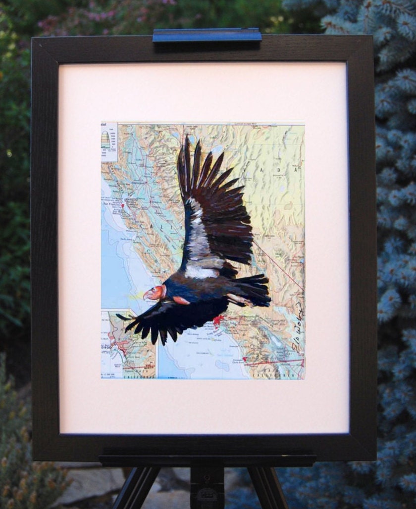 Giclee Fine Art Print - California Condor -map of California Pacific ...