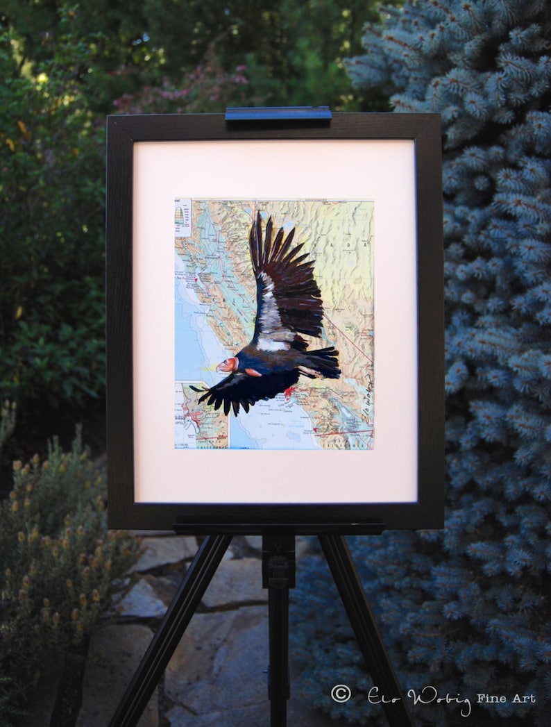 Giclee Fine Art Print California Condor map of California | Etsy